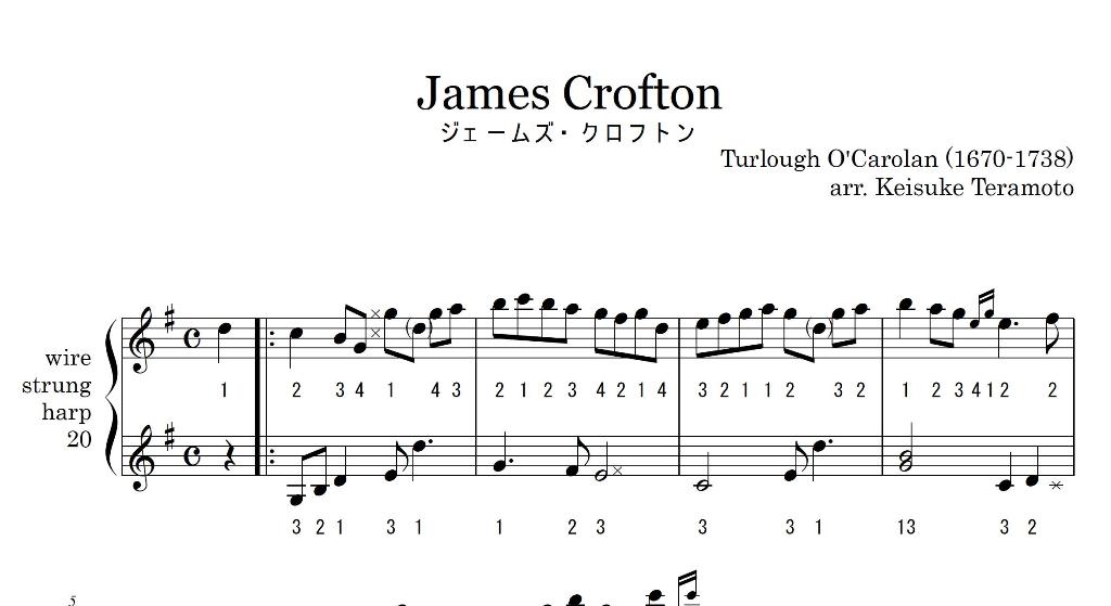 James Crofton | 失われたアイルランドの響きを求めて